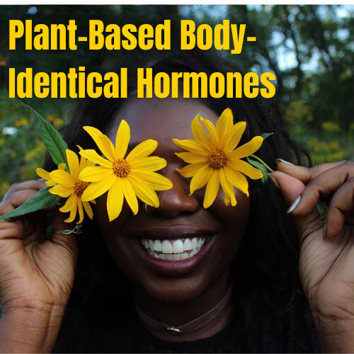 Plant-Based Body-Identical Hormones: 13 Natural Solutions for Women’s ...