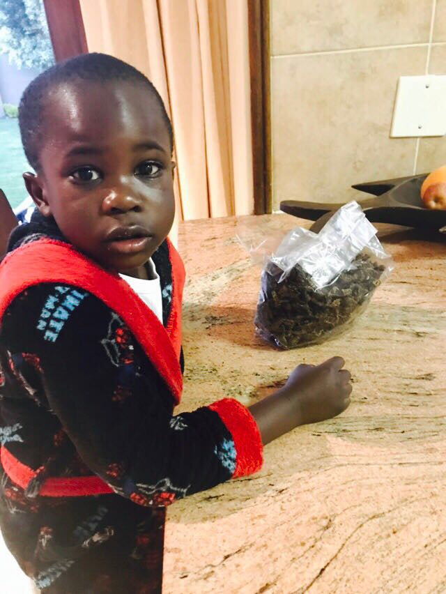 Darling...What Are You Eating? – Sensational Seasonals