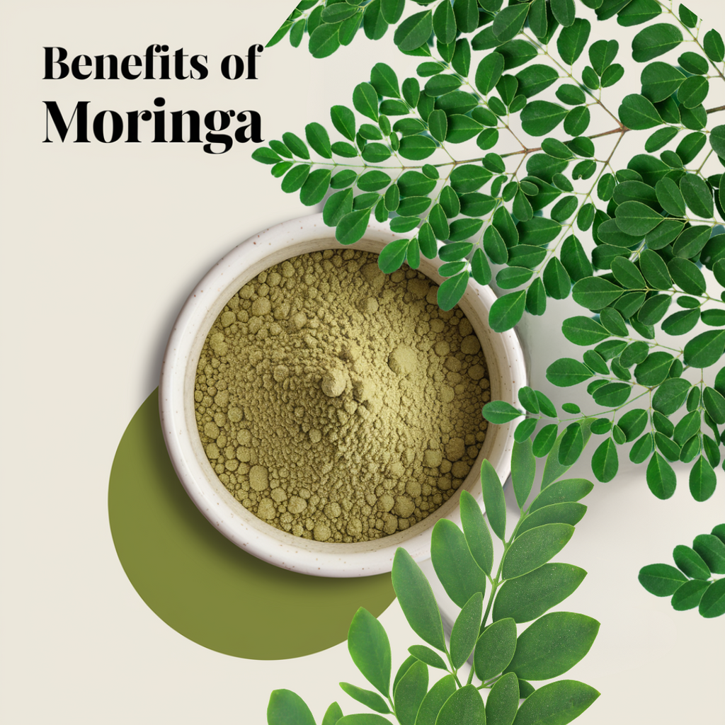 7 Tasty Moringa Recipes To Try Today – Sensational Seasonals