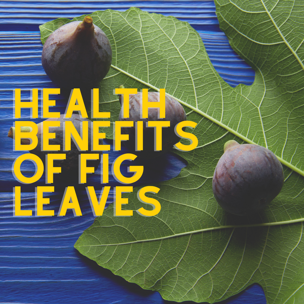 25 Amazing Health Benefits Of Fig Leaves To Improve Your Wellbeing ...